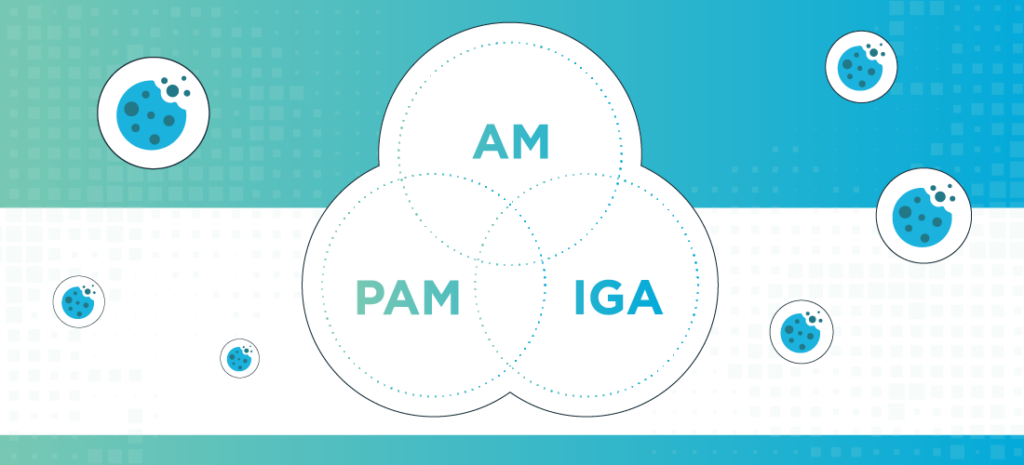 Strengthening Cyber Defenses: The Crucial Role of PAM and IGA Solutions ...
